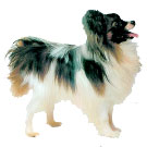 USRF - History of Testosterone Replacement Therapy (TRT)